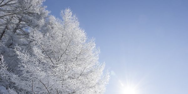 事業の概要 - 一般財団法人 信濃みらい育英会